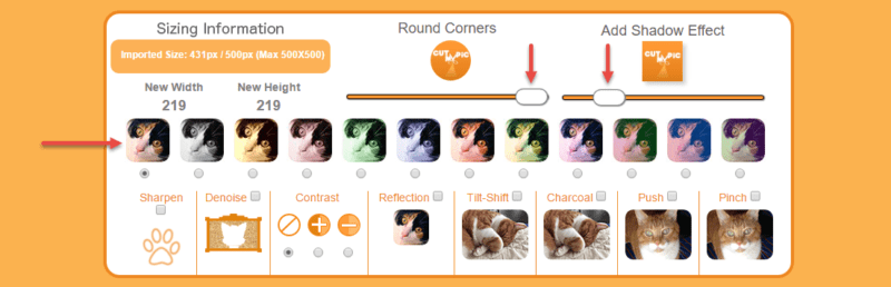 How to Crop a Photo of Someone Into a Round Profile Picture